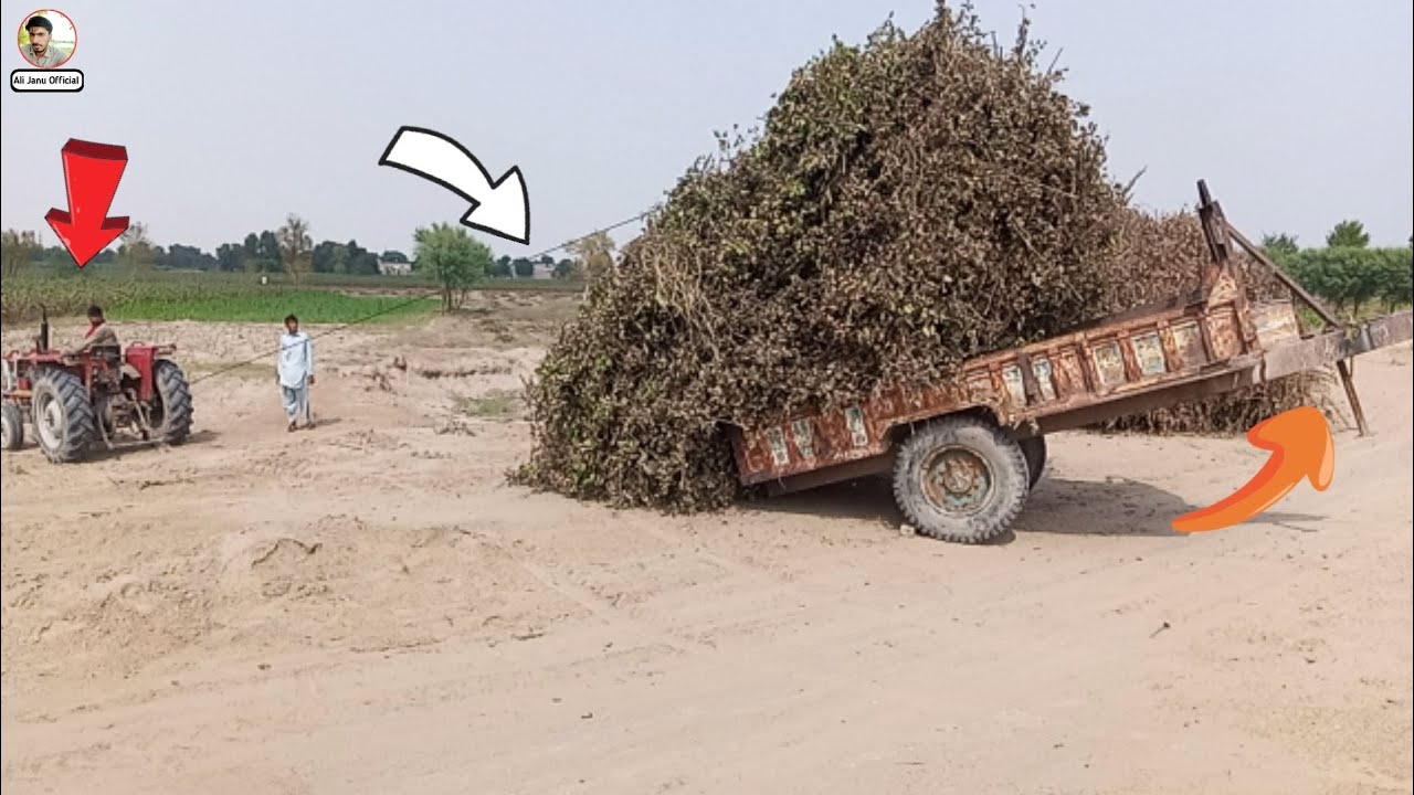 Flipping a Trolley of Sticks with a Tractor | Massey Ferguson 240 ...