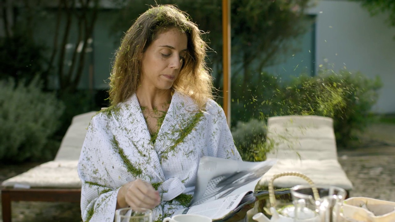 Dacia Sandero - Lawn Mower - YouTube