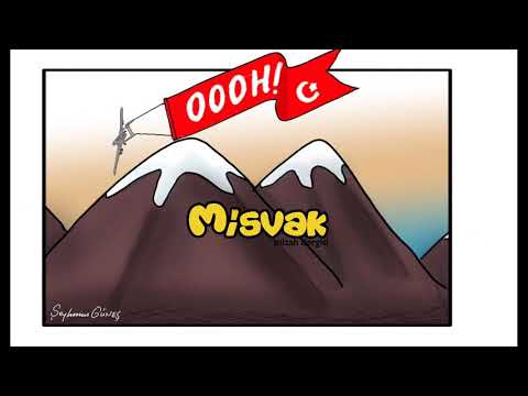 Terapi gibi video