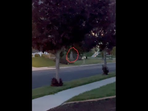 Possible Nightwalker Sighting!! Scary! - YouTube