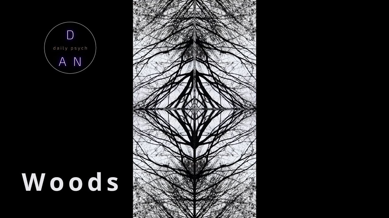 DAN - Woods - Official Video - YouTube