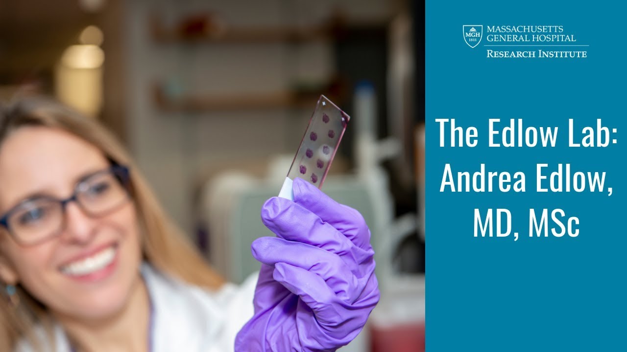 The Edlow Lab: Andrea Edlow, MD, MSc - YouTube
