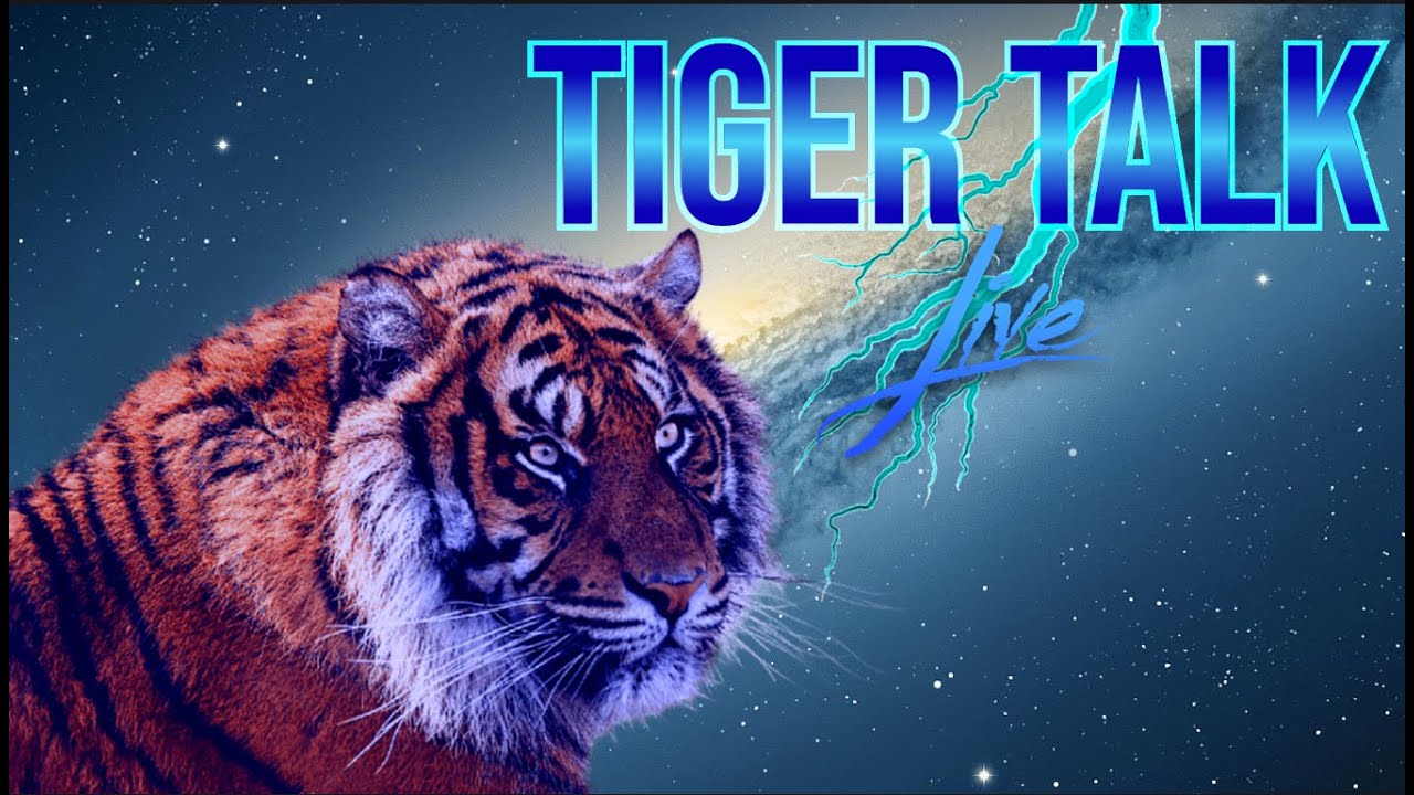 Career Connections: DR MADELINE NEGRON - YouTube