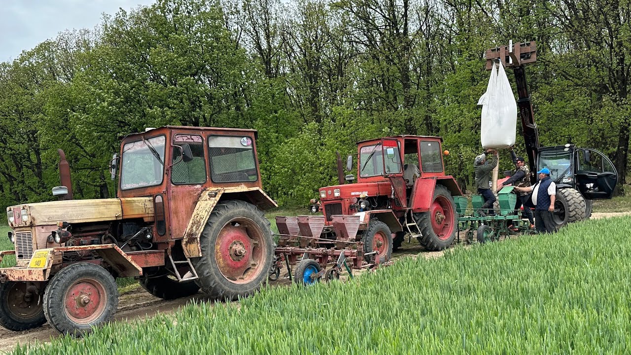 U650 utb in FORTA la prasit #tractorvideo #utb #u650 #românesc #farmer ...