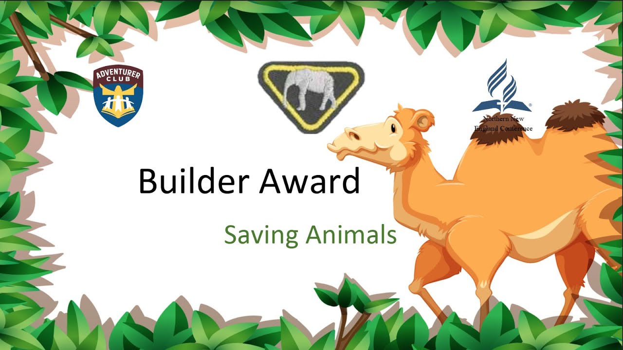 Saving Animals Builder - YouTube