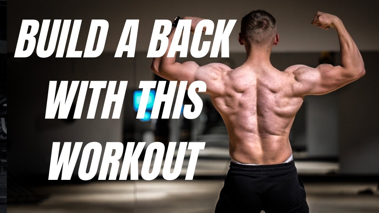 The PERFECT back workout - YouTube
