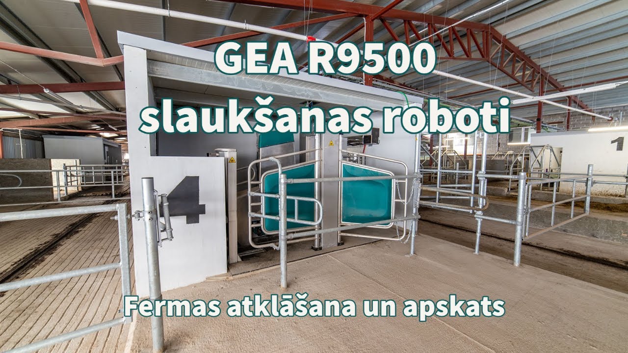 GEA DairyRobot R9500 slaukšanas robotu fermas atklāšana - YouTube