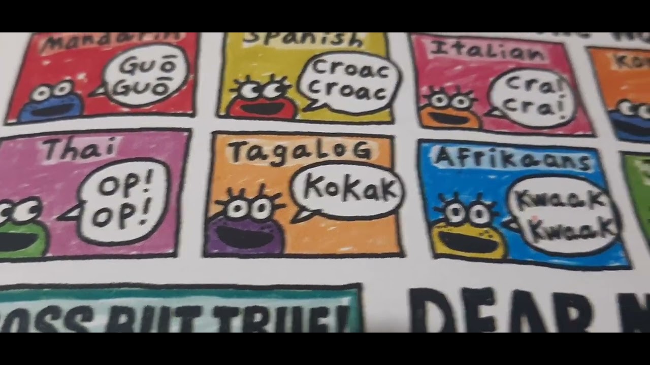 Melvin's Magazine Read-Aloud 🐸🎀 (Written & Illustrated By Dav Pilkey ...