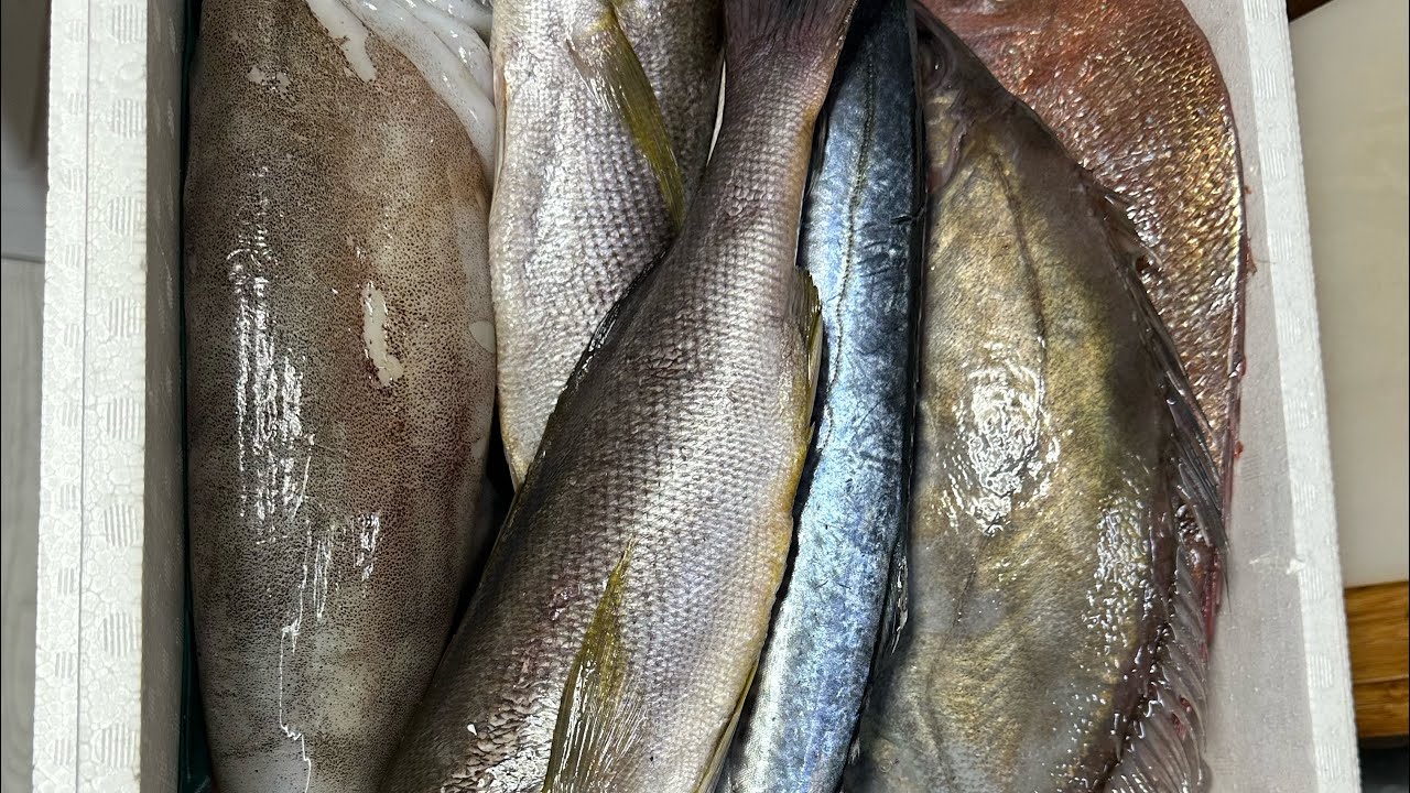 Viral fish and king crabs sobrang mahal. #viral #viralvideo #video # ...