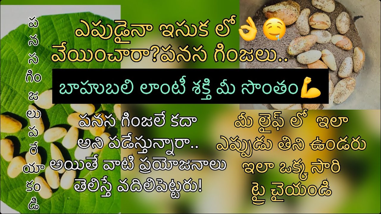 Jackfruit seeds fry|Sand in jackfruit seeds|old and gold style seeds ...