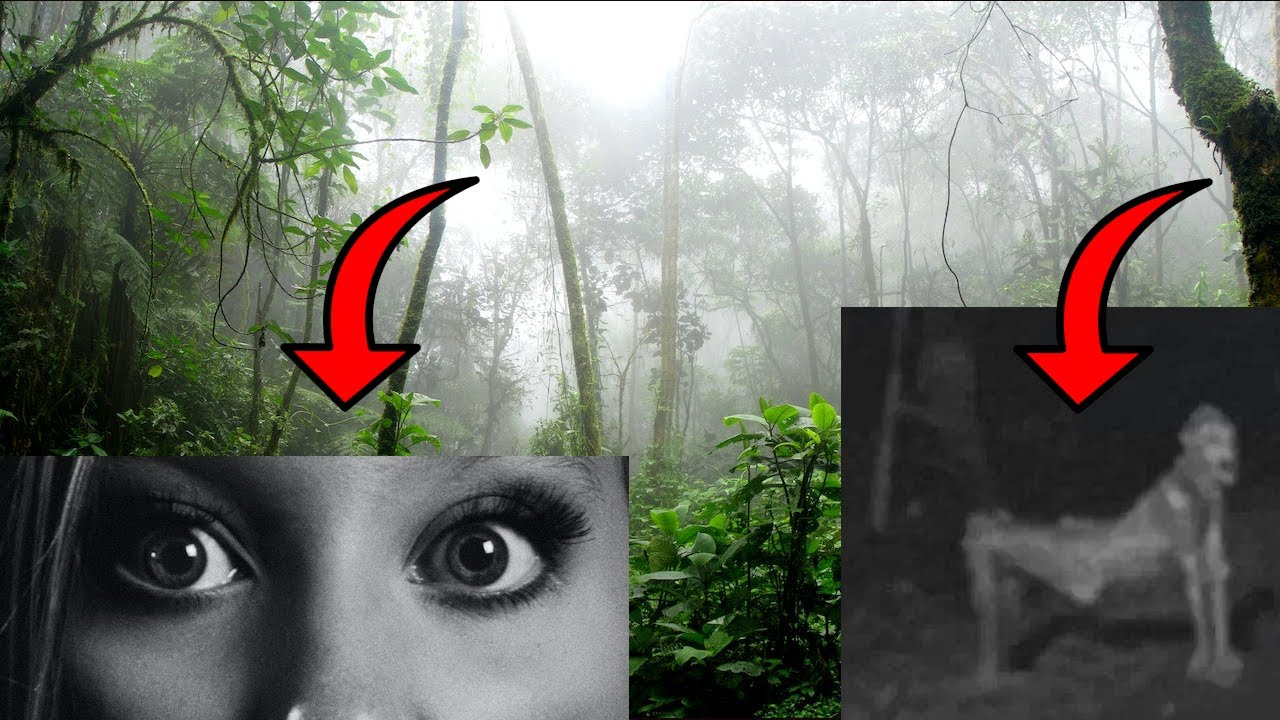 Horror Story : "Experience Unimaginable Terror with 'Skinwalker': A ...