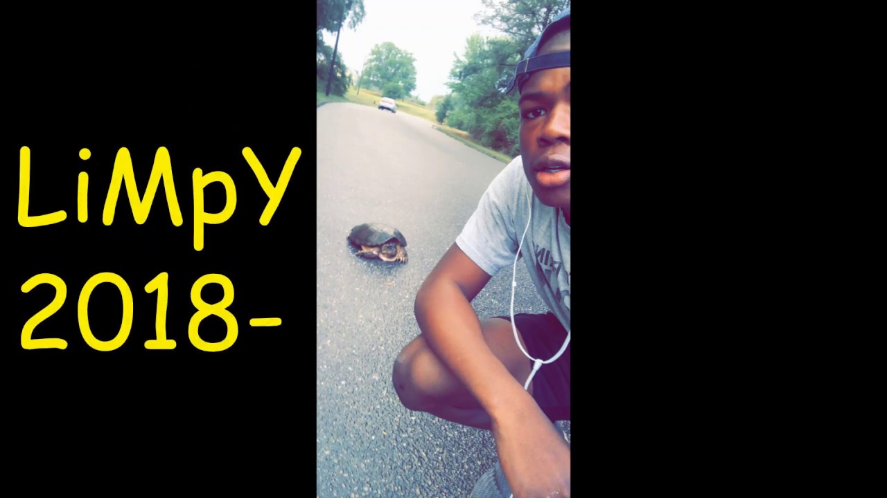 LiMpY the Snapper - YouTube