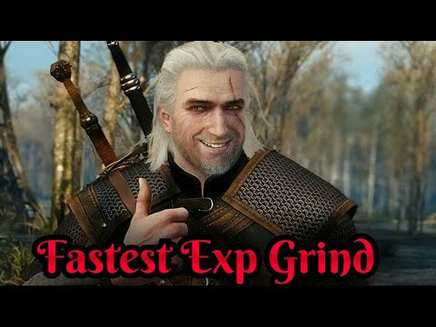 Witcher 3: Fastest Exp grind (2023) - YouTube