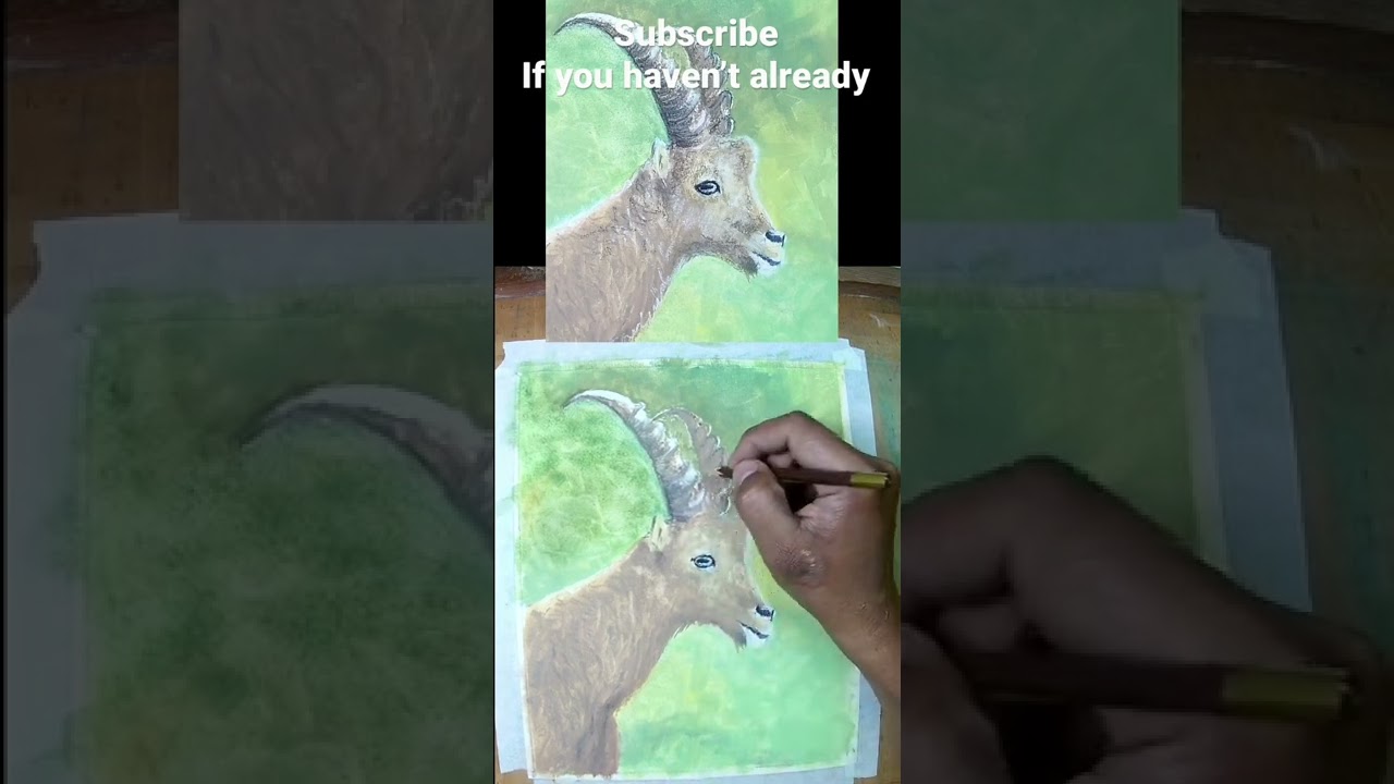 How to draw a Markhor | Ibex Drawing | Art by Farrukh #shorts #yt ...