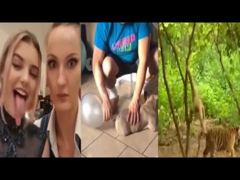 KOMİK VİDEOLAR 😂