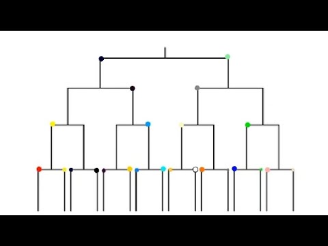 The tournament 2 semifinals 2 - YouTube