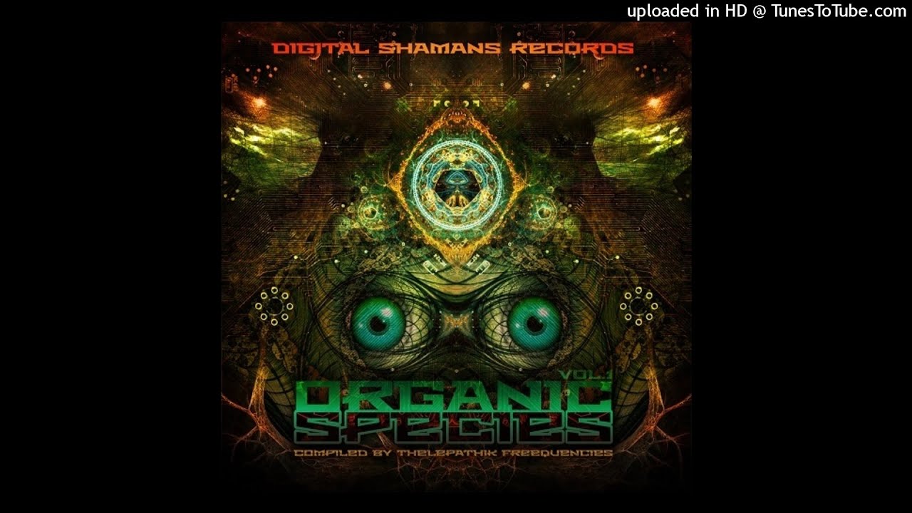 Insane Creatures & Zenkai & ZZbing - Don't Take The Blue Pill - YouTube