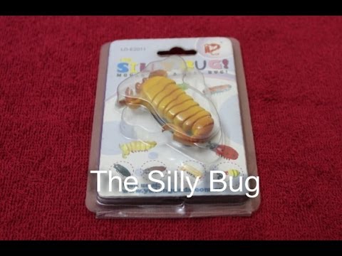 The Silly Bug - YouTube