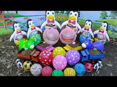 Woww..Meletuskan Balon Warna Warni, Balon Jumbo Berhadiah, Bola Basket ...