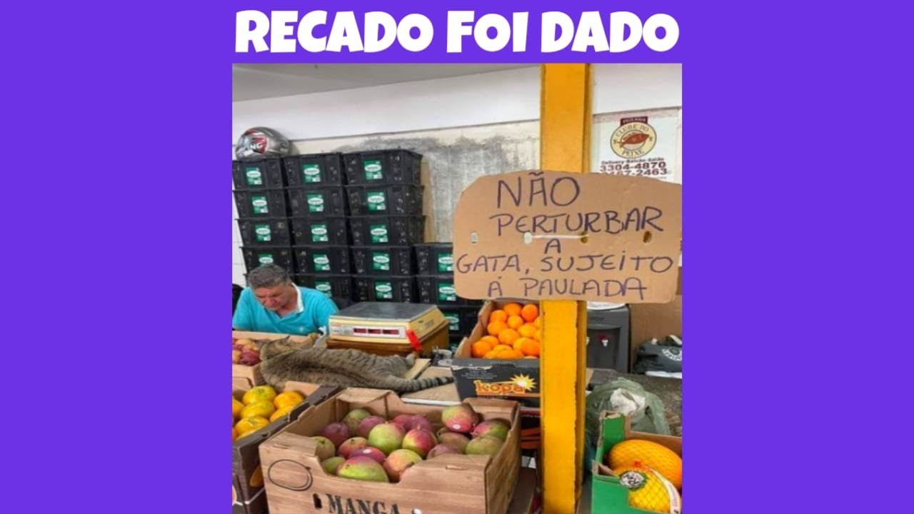 MELHORES MEMES EM IMAGENS - RECADO FOI DADO - YouTube