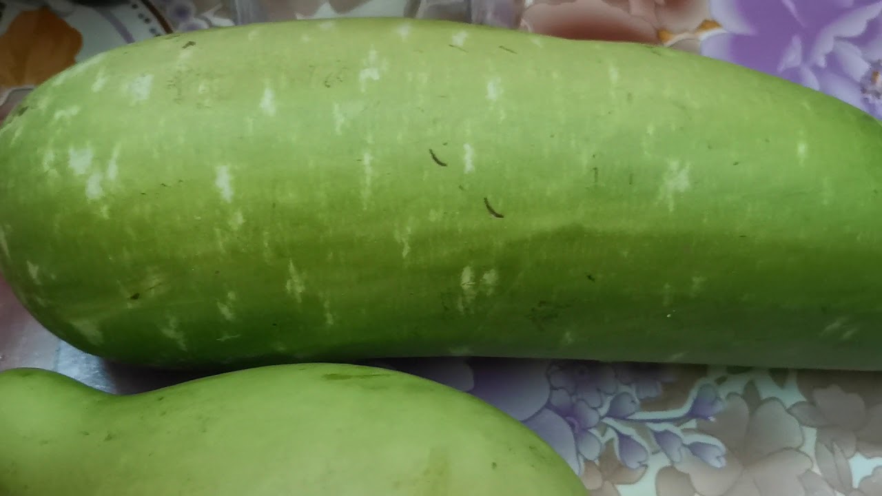 Upo ang masustansyang gulay - YouTube