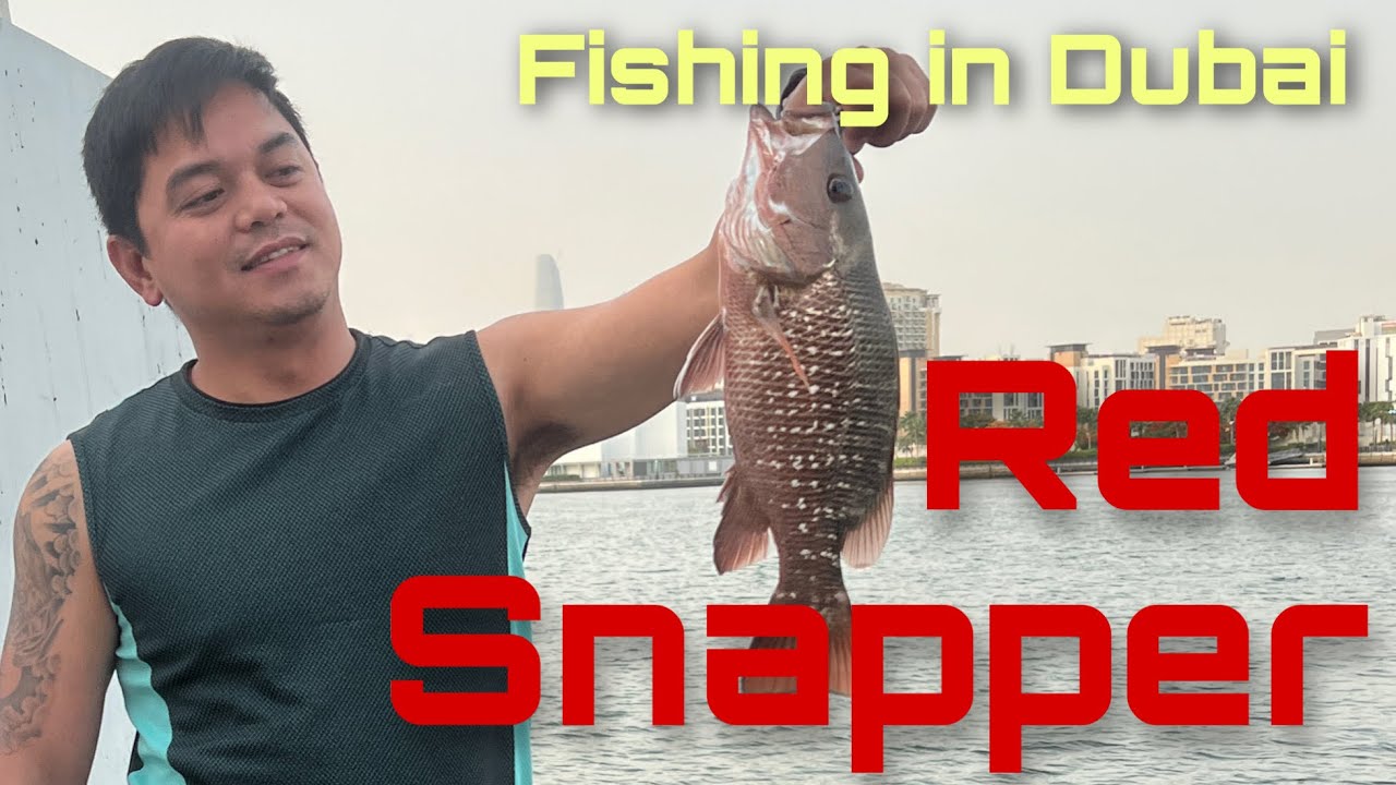 Red snapper fishing in Dubai, Sir jhun overtake Season 1 Episode 4 - YouTube