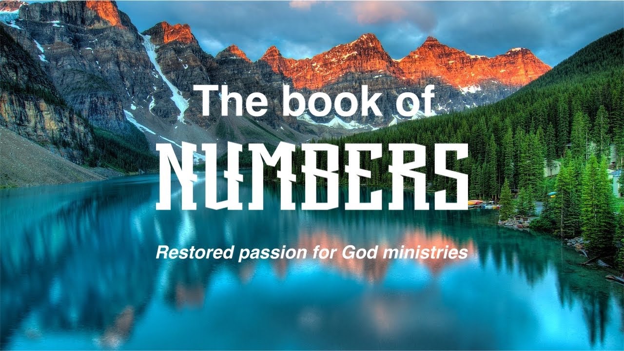 The Book of Numbers ch 17 + 18 - YouTube