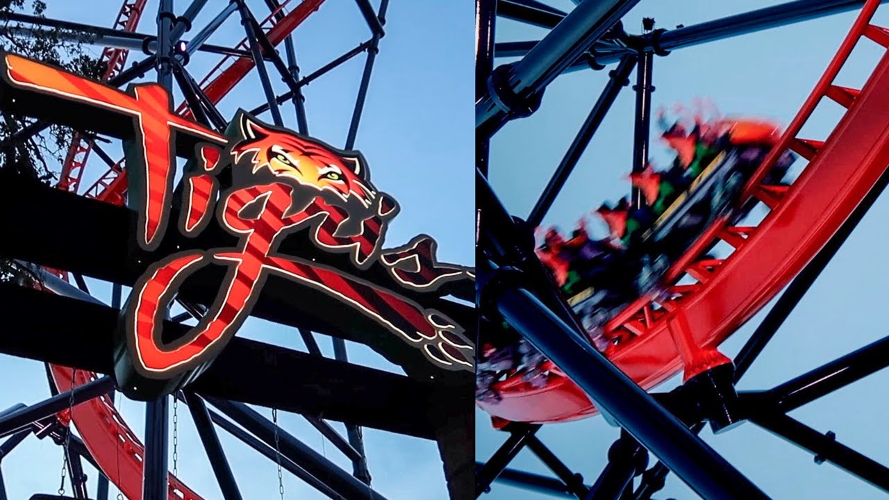 Our First Time on Tigris | Busch Gardens Tampa - YouTube