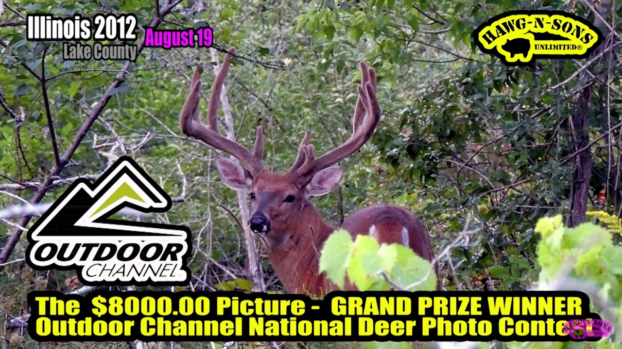 Outdoor Channel National Deer Photo Contest 🦌 GRAND PRIZE WINNER ...