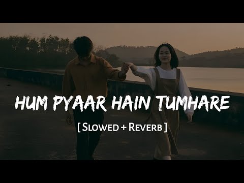 Hum Pyaar Hain Tumhare (Slowed + Reverb) | Alka Yagnik, Kumar Sanu | Sameer | SSR Lofi