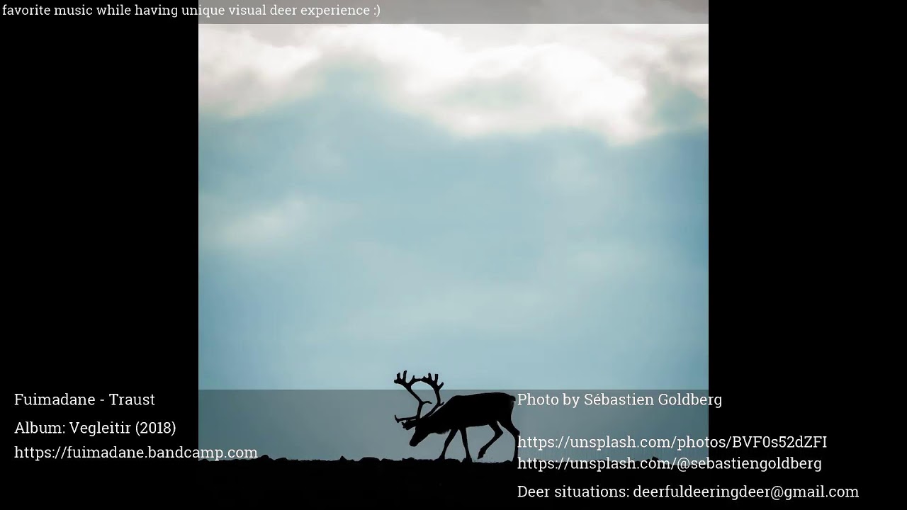 Deer Radio 24/7: find your favorite music while having unique audio ...