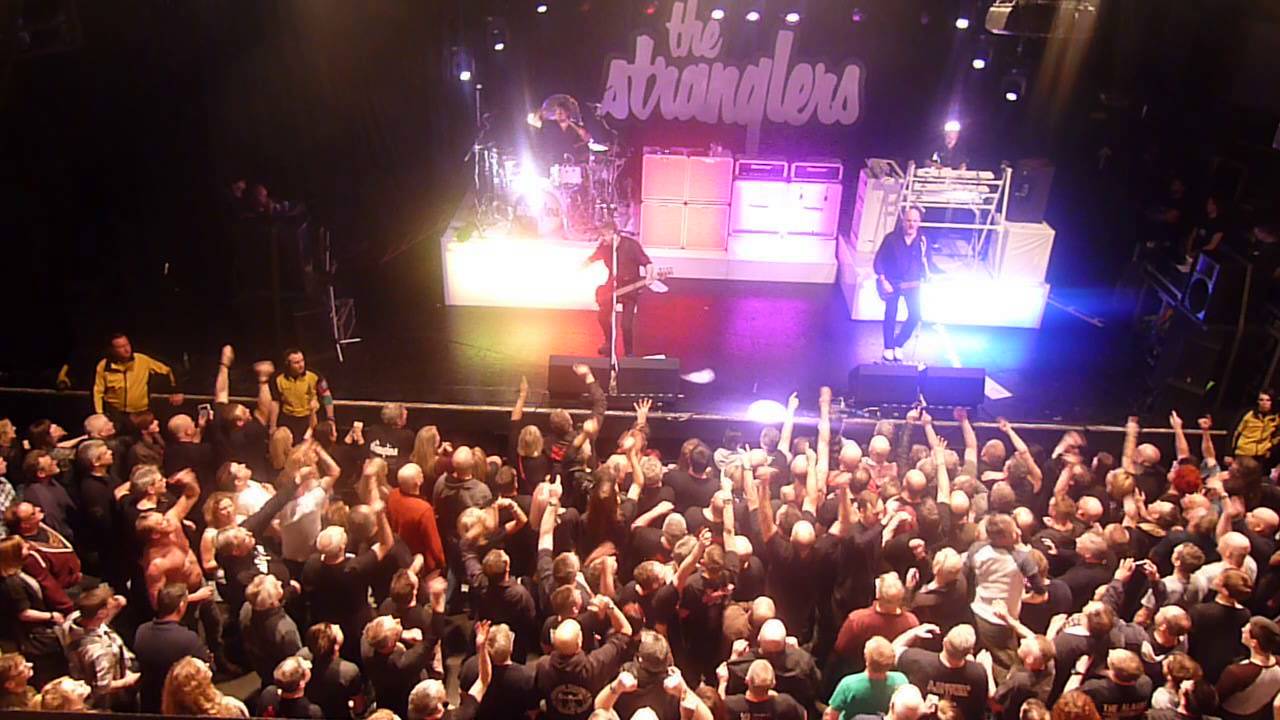 The Stranglers - Go Buddy Go - Bristol 2016 - YouTube