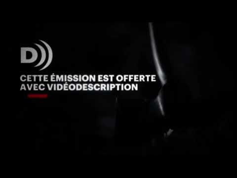 Témoin Described Video Bumper - YouTube