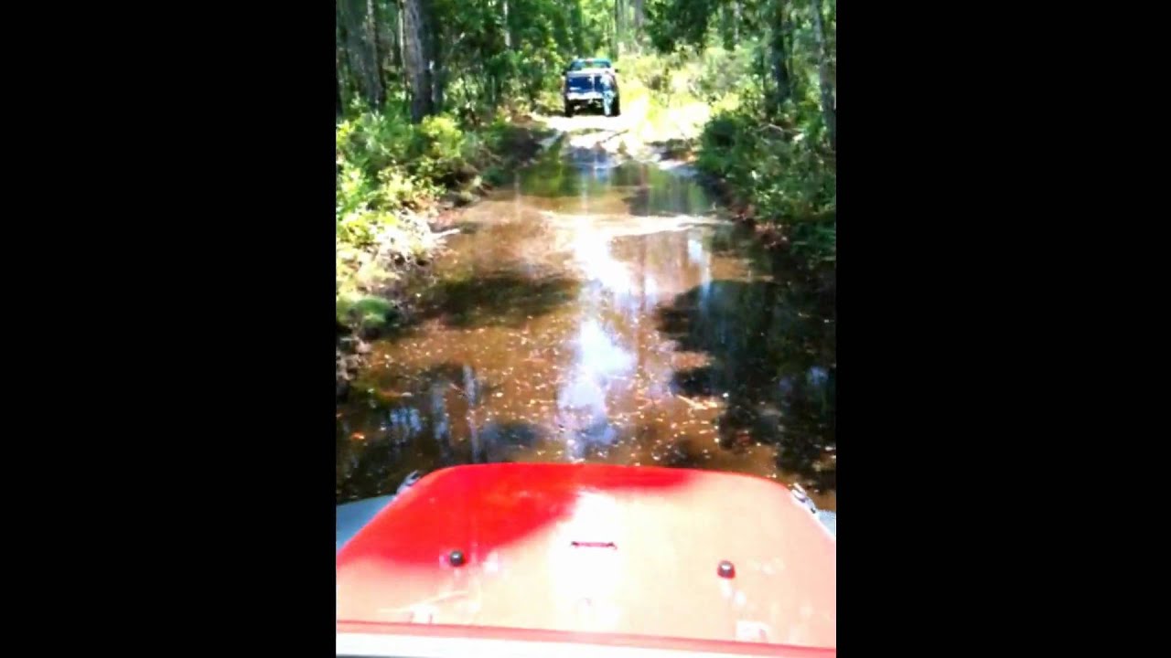 Osceola National Forest Dual Sport Trails at Fernando Crawford blog