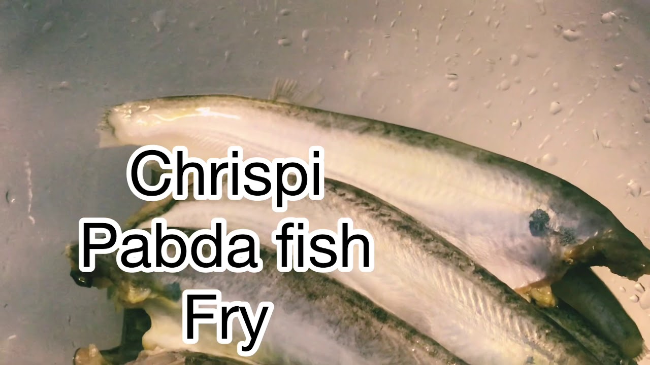 Pabda fish fry// Bengali fish//আজ আর ঝোল না। - YouTube