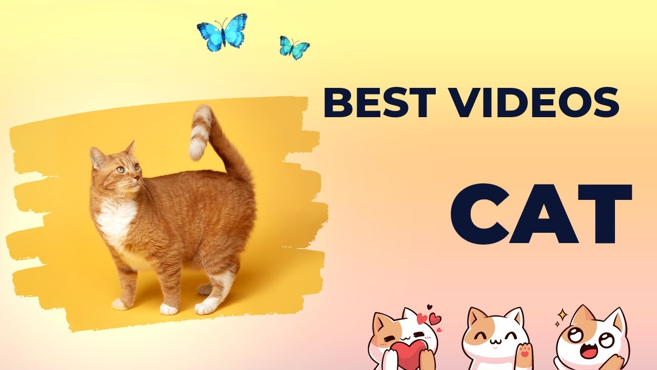 CATS | PUPPIES | Cute Cats | Video Of Cats Ever | Cat | Animals Planet ...
