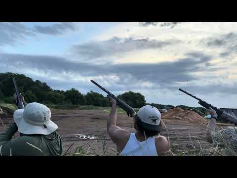 11 MINUTES OF STRAIGHT PIGEON KILLING