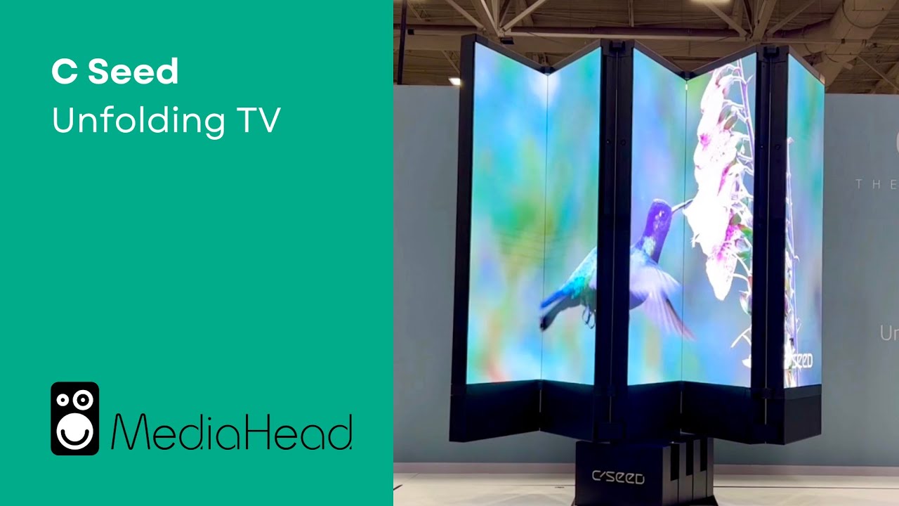 C Seed Unfolding TV - YouTube