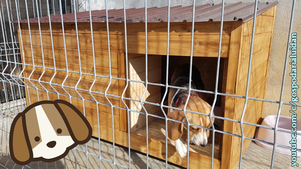 Casuta cotet cu terasa pentru catel - YouTube