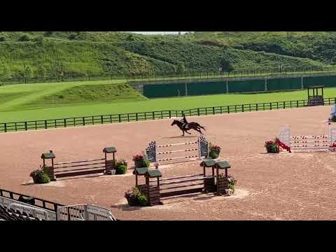 Hallie Eskey & Ideale by Marstyl High Adult Jump off 1st Place Tryon Summer 4