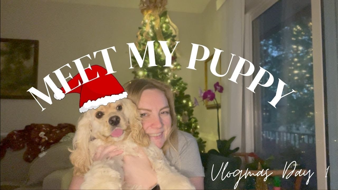 MEET MY PUPPY & Major Life Updates | Vlogmas Day 1 2022 - YouTube