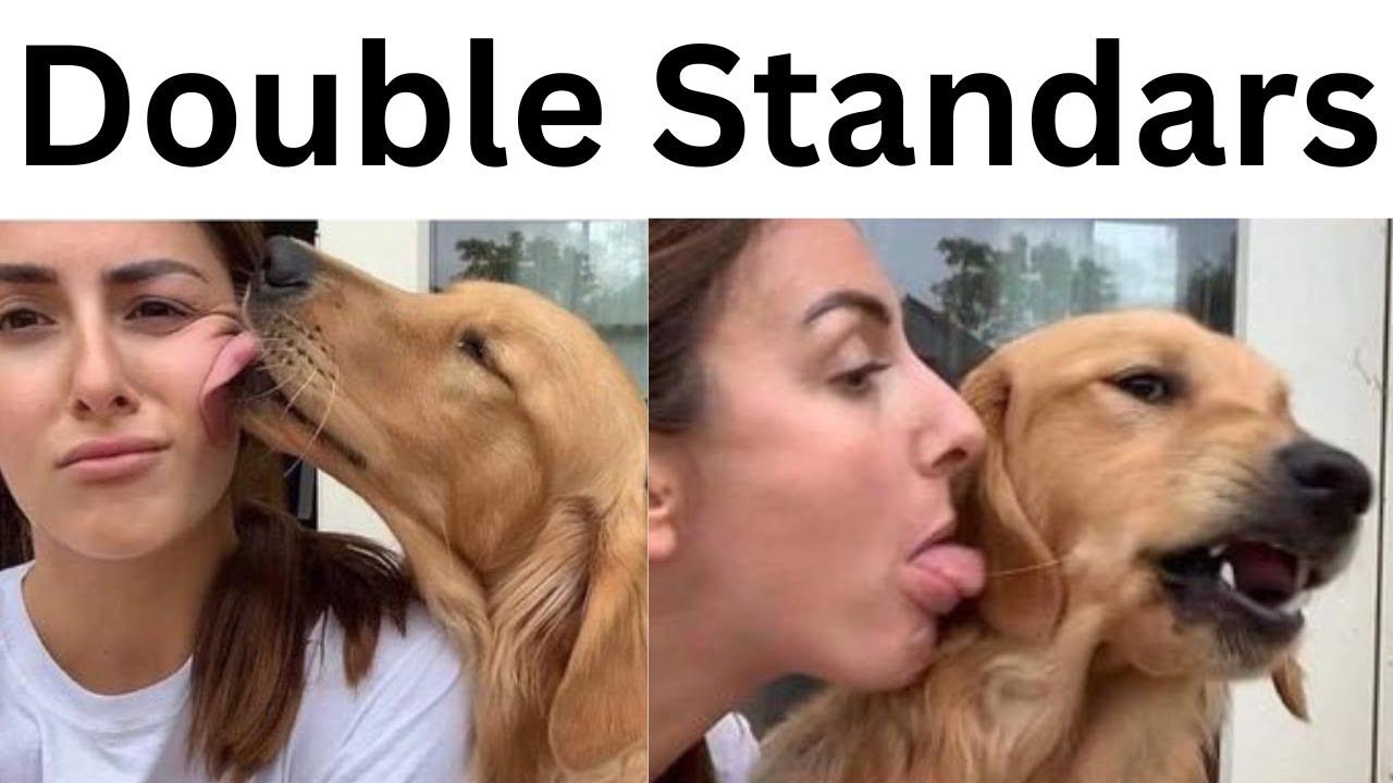 Relatable | Dank | Funny Memes ep35 V345 - YouTube