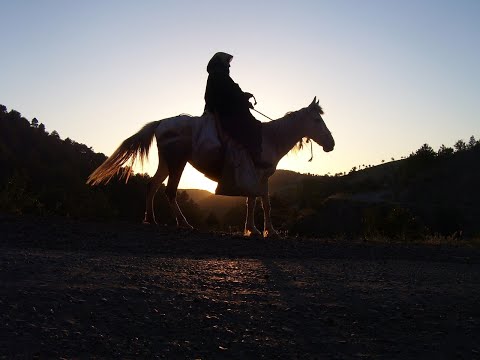 DAĞ | Aktaş Köyü | Furkan Altun