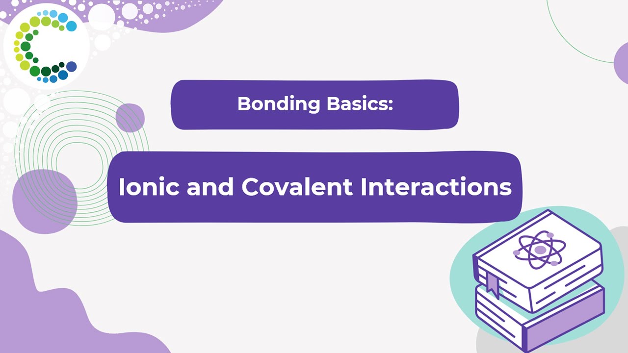 Bonding Basics: Ionic and Covalent Interactions - YouTube