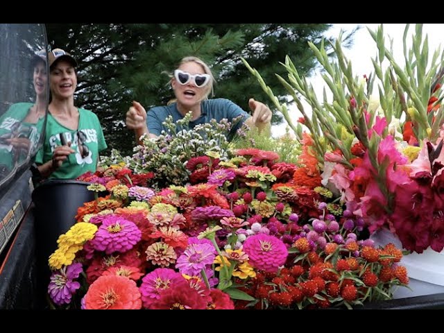 Flower Hill Farm Hawaii | Best Flower Site