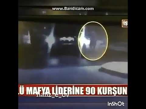 Rövşen Lenkeranski