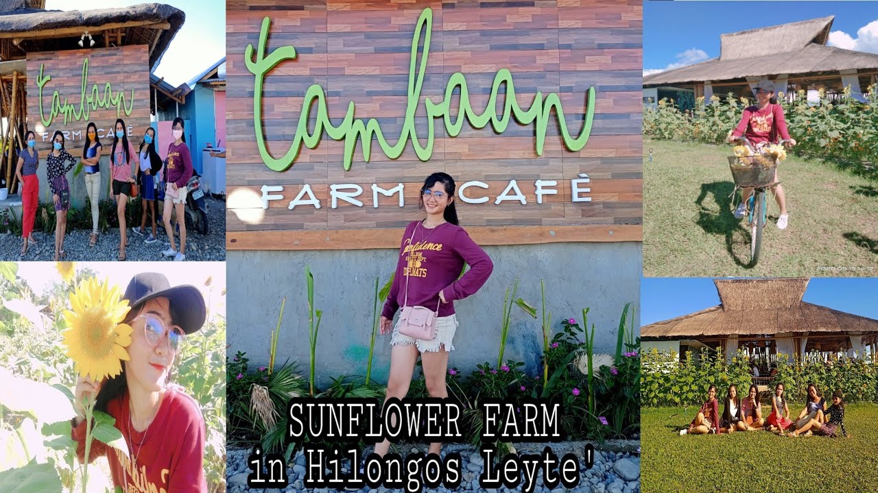 VLOG #2: SUNFLOWER FARM IN LEYTE / TAMBAAN HILONGOS LEYTE ADVENTURE ...