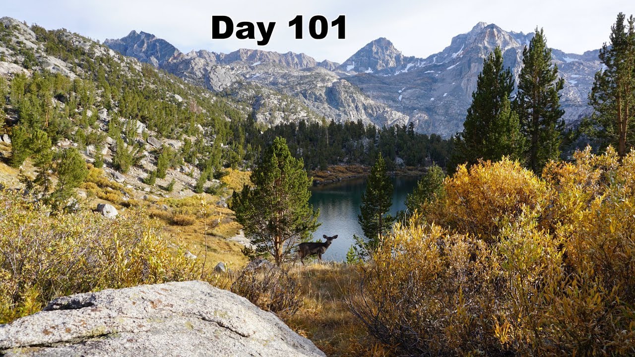 101 PCT - Rae Lakes and Lots of Deer - YouTube