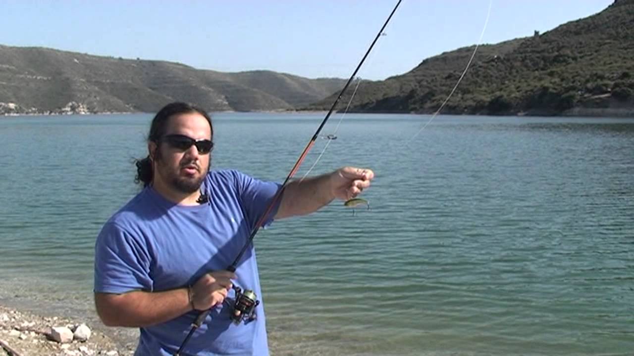 Anglermania & Cyprus Fishing Magazine: Realis - the new standard for ...