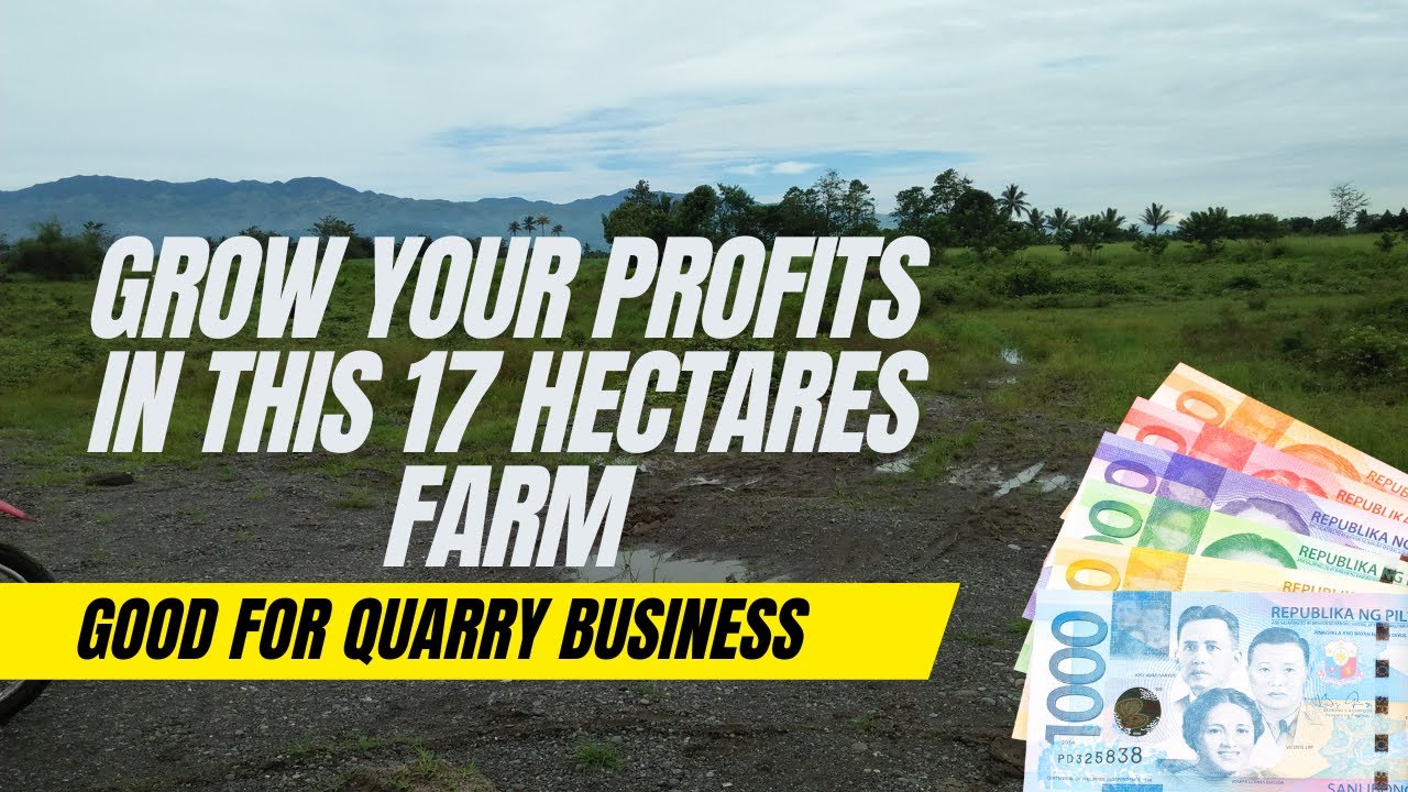 17 Hectares Farm Lot in Valencia City, Bukidnon - YouTube